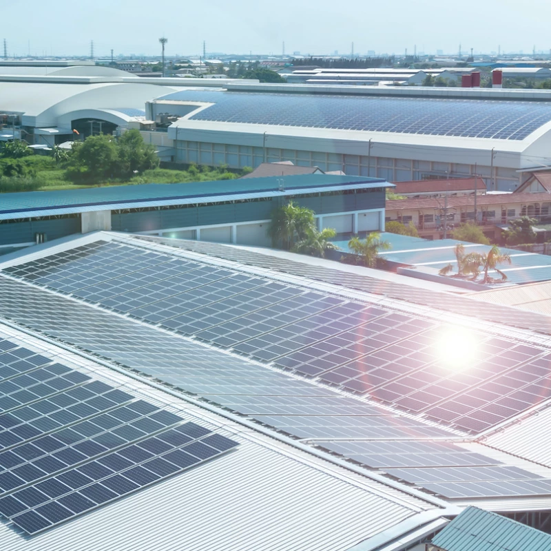 Home | Green Solar International